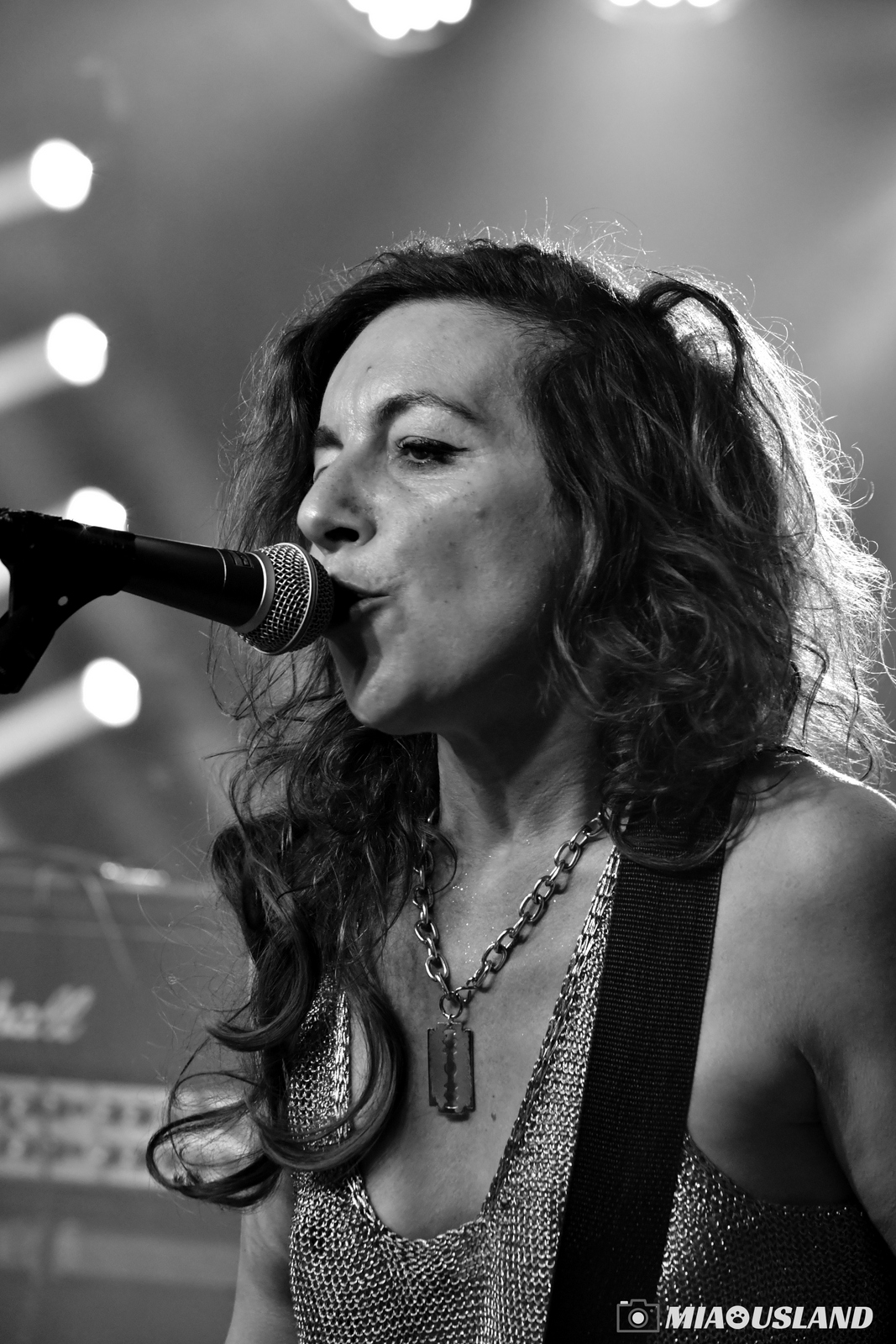 Solide comme un Rock - Miaousland.fr